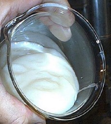 SAPONIFICATION PROCESS - Saponification Plant